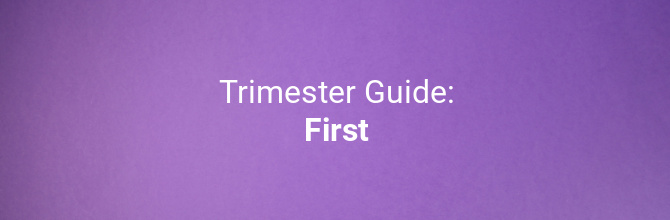 Everything you need to know about your first trimester | Nature's Best
